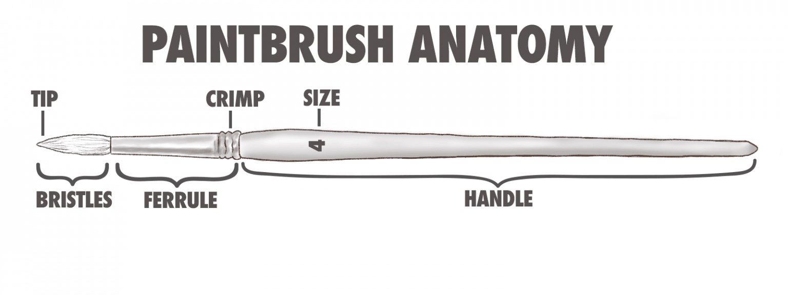 The Best Brushes for Oil Painting - Fine Art Tutorials