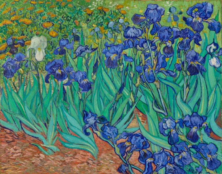 Complementary Colours: What They Are and How to Use Them