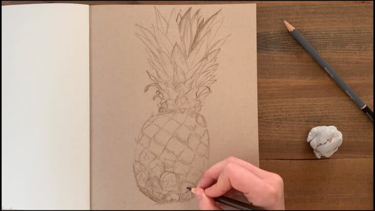 How to Draw a Pineapple in 5 Steps