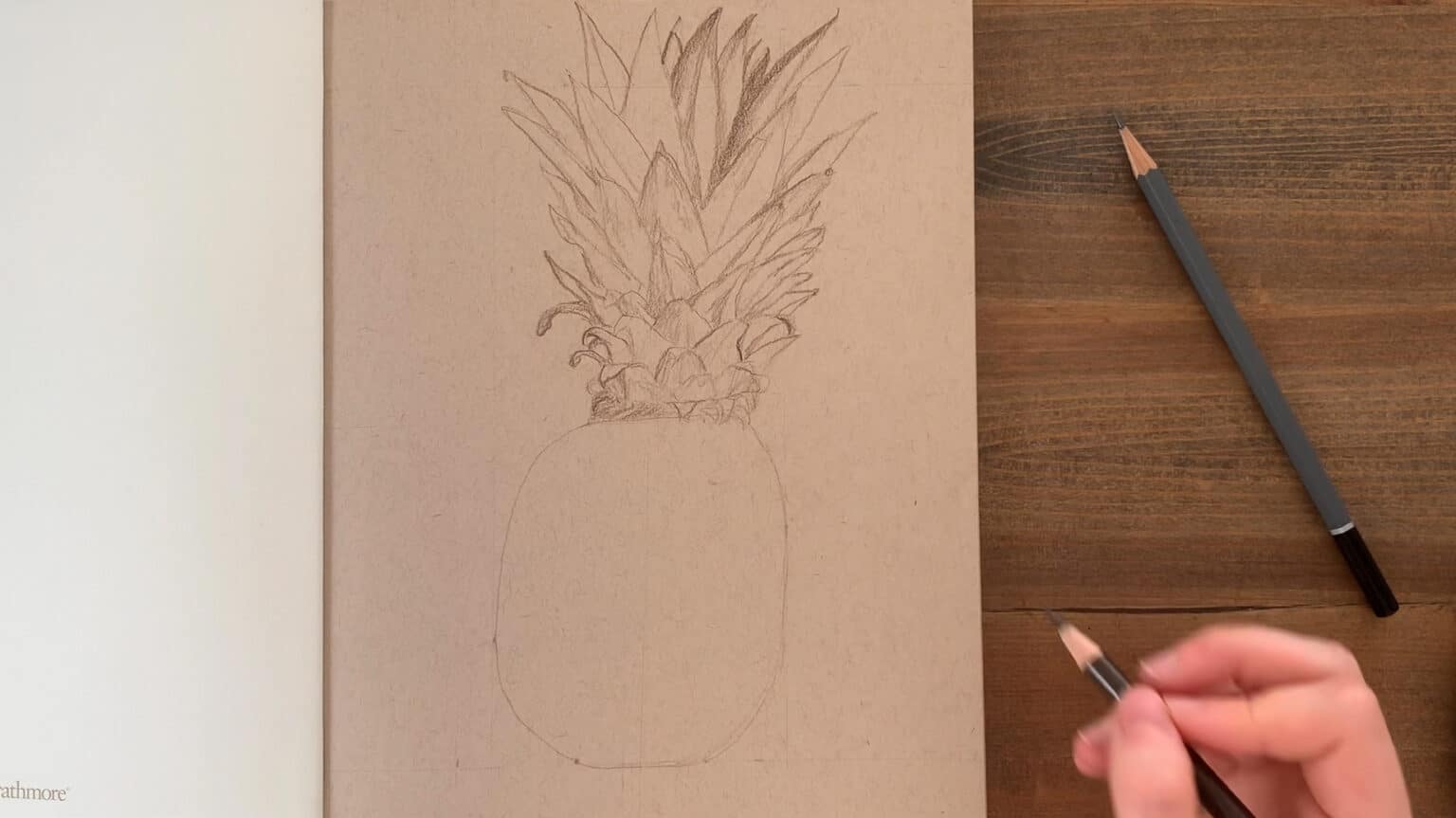 How to Draw a Pineapple in 5 Steps