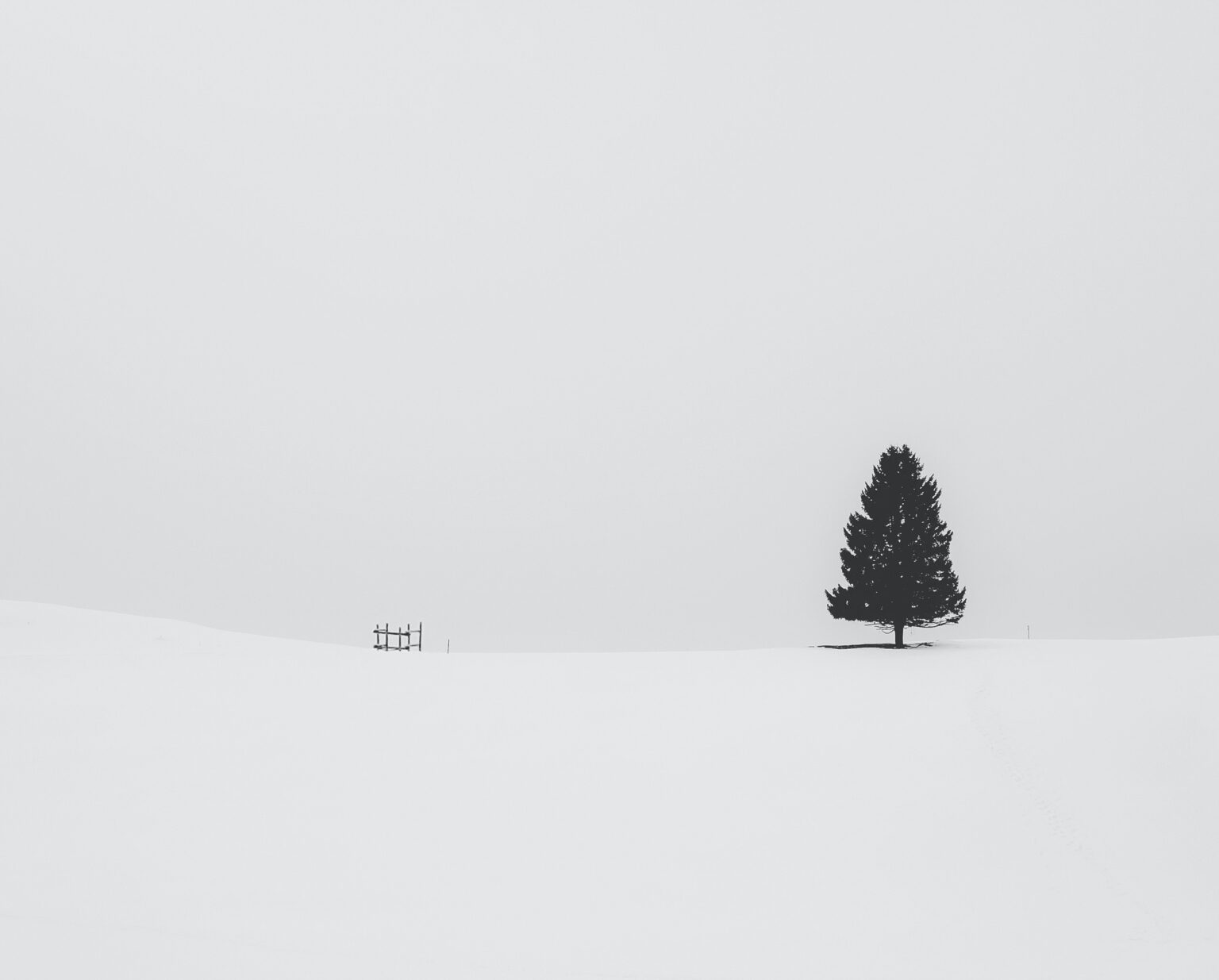 Composition in Art