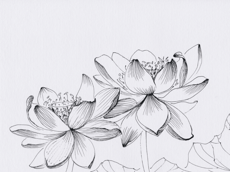 Line Art Definition Elements Of Art Line Art Definition Elements Of Art