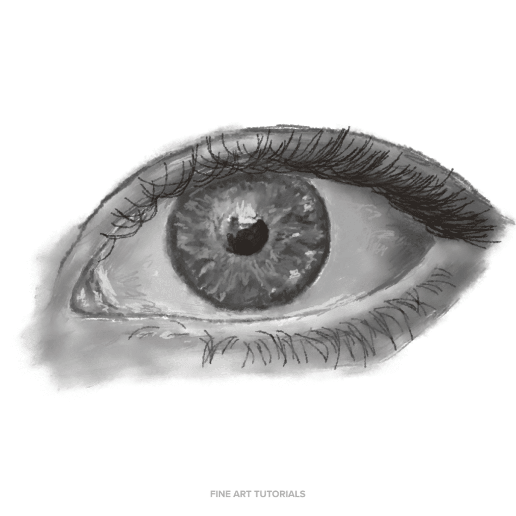 Eye Drawing: Step by Step Tutorial
