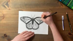 Butterfly Drawing Tutorial: Realistic Butterfly with Coloured Pencils