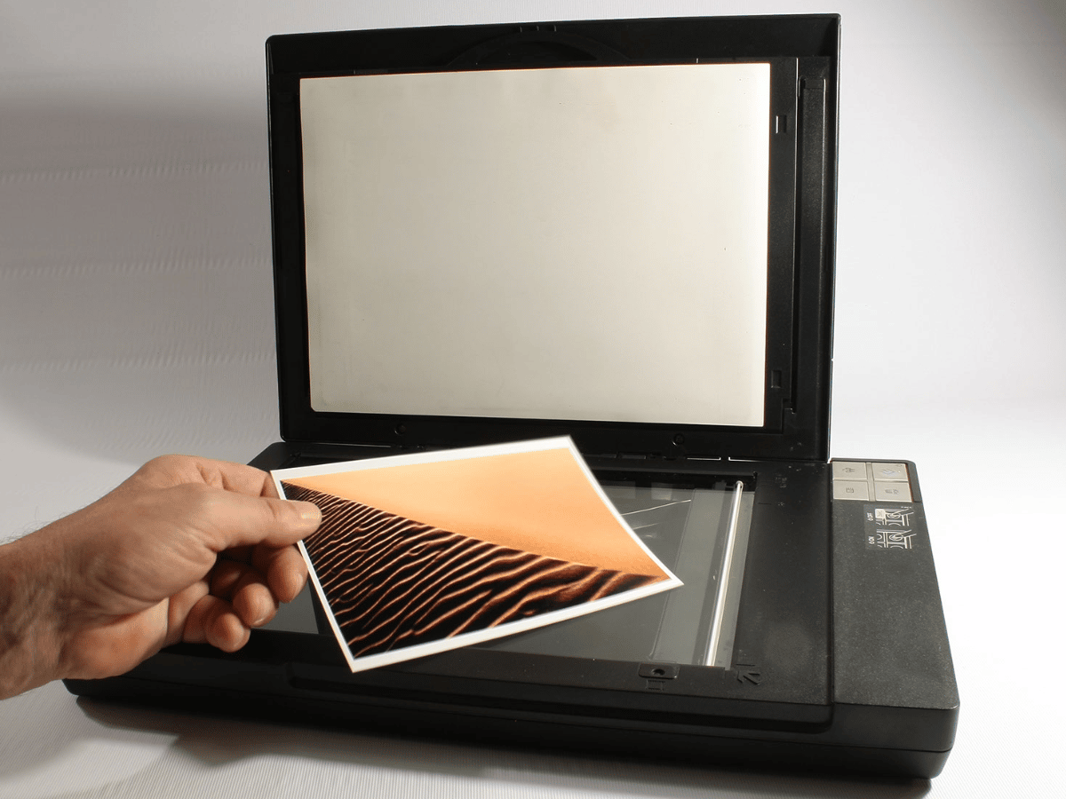 The Best Scanners For Artists A Review The Best Scanners For Artists A Review