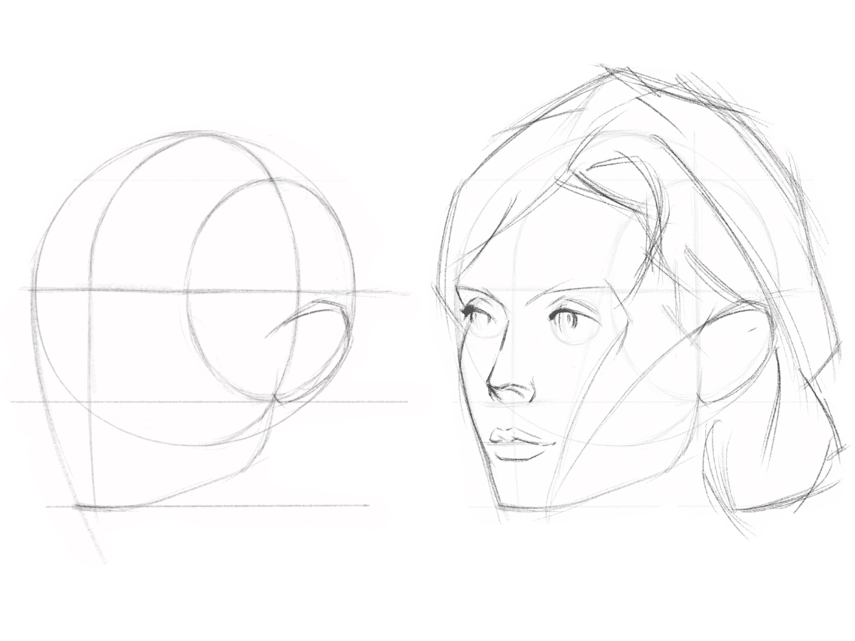 ArtStation Loomis Head Model Multiple Angles 48 OFF