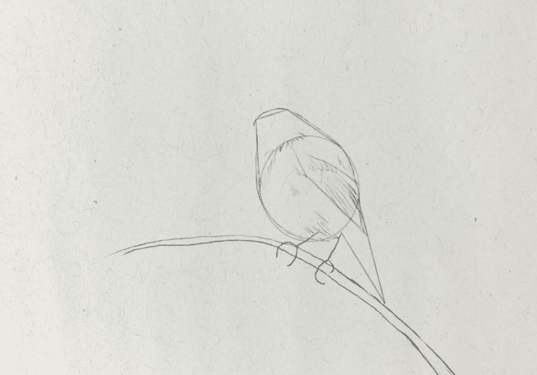 How to Draw a Robin: Easy Tutorial
