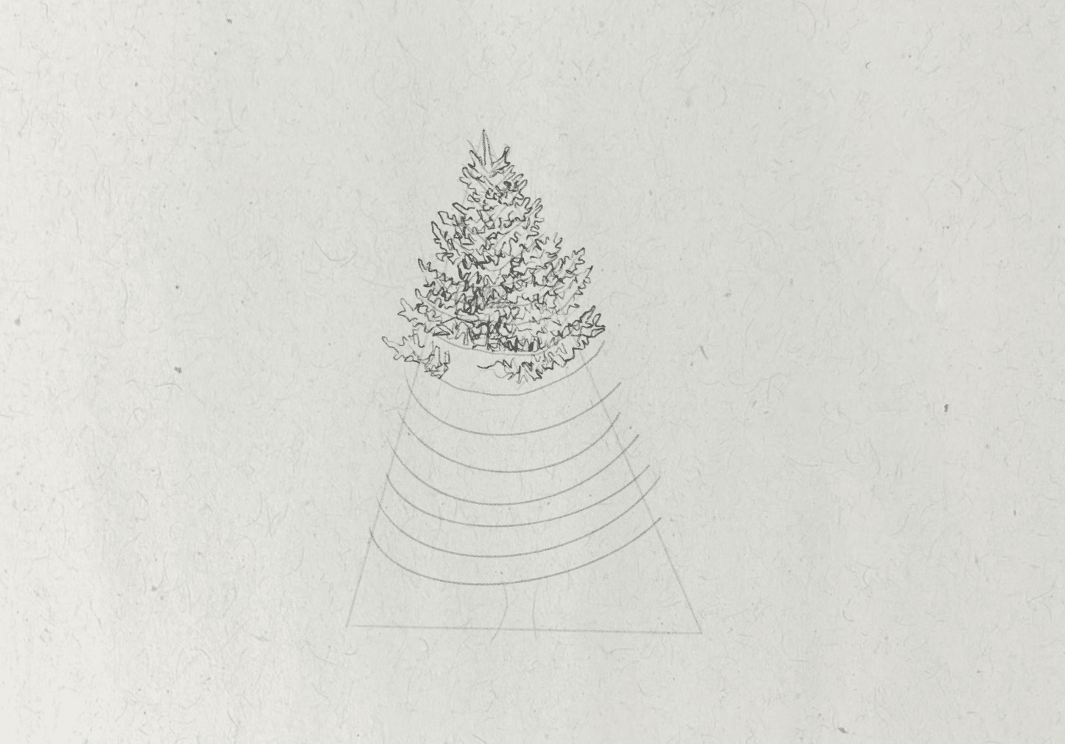 How to Draw a Fir Tree