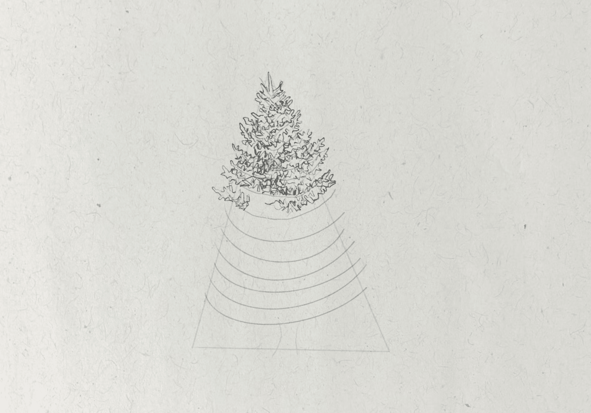 How to Draw a Fir Tree