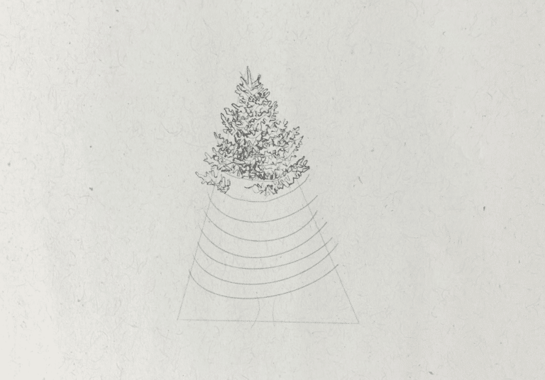 How to Draw a Fir Tree