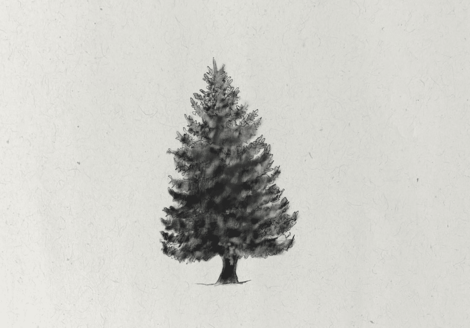 How to Draw a Fir Tree