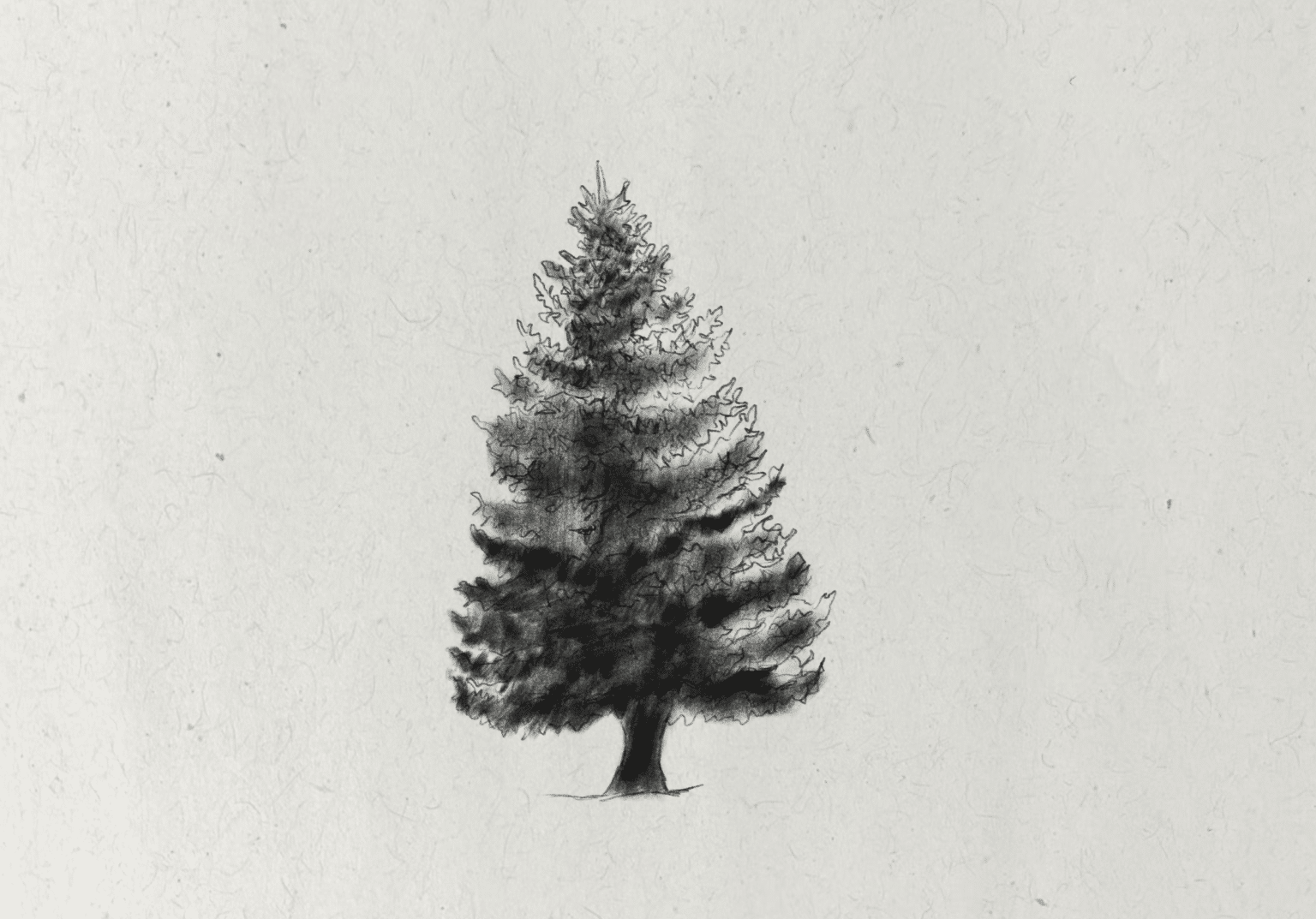 How to Draw a Fir Tree