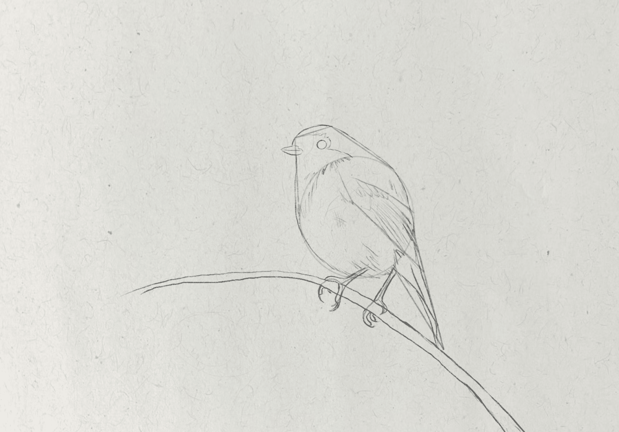 How to Draw a Robin: Easy Tutorial