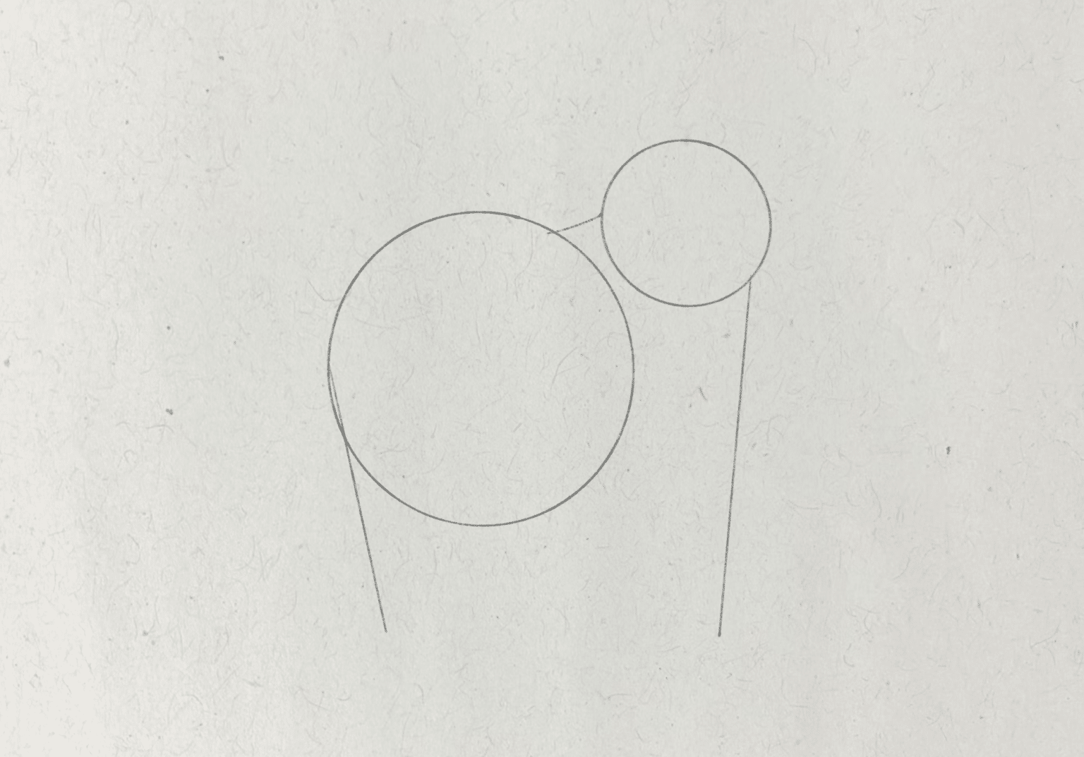 How to Draw a Polar Bear