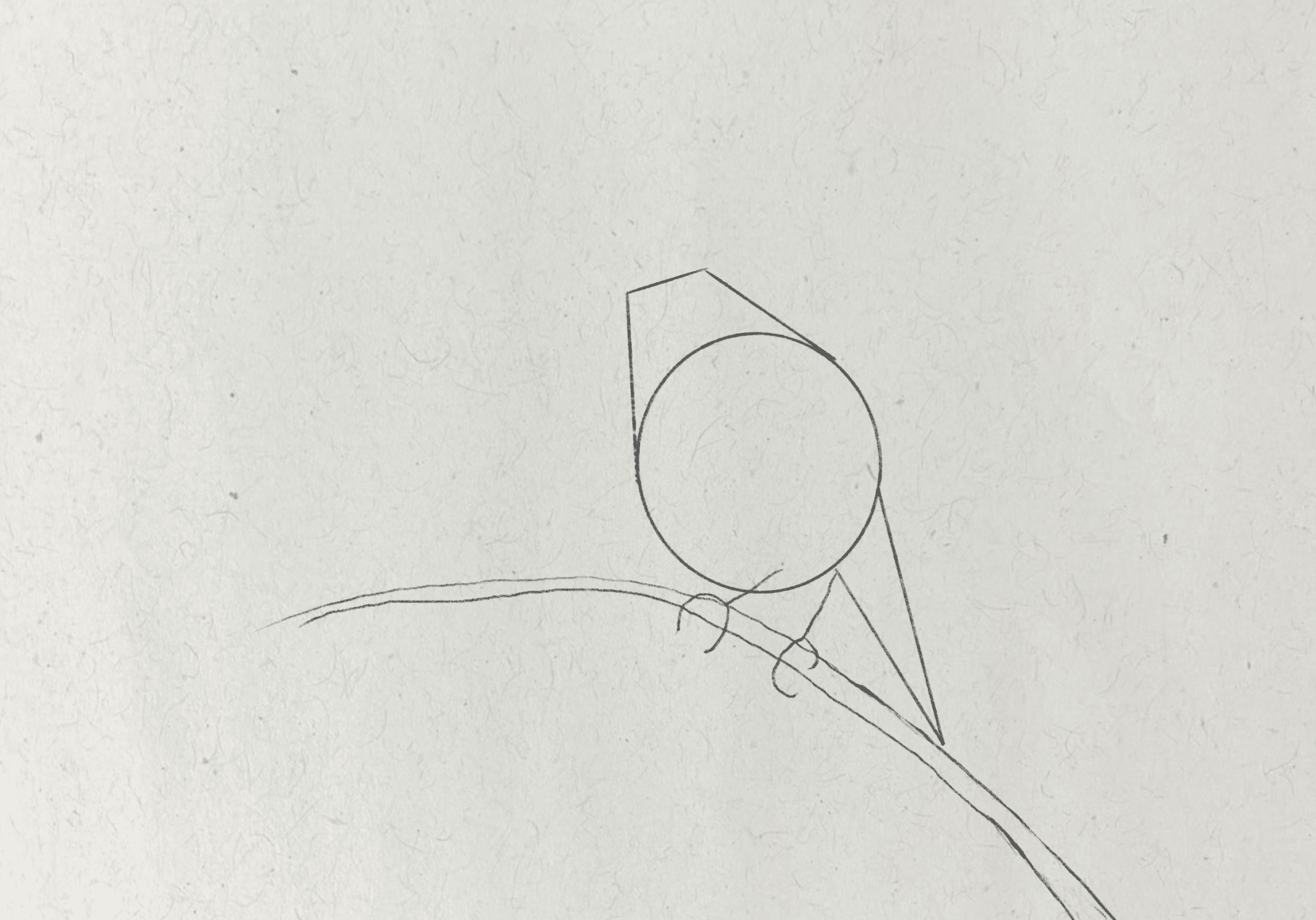 How to Draw a Robin: Easy Tutorial