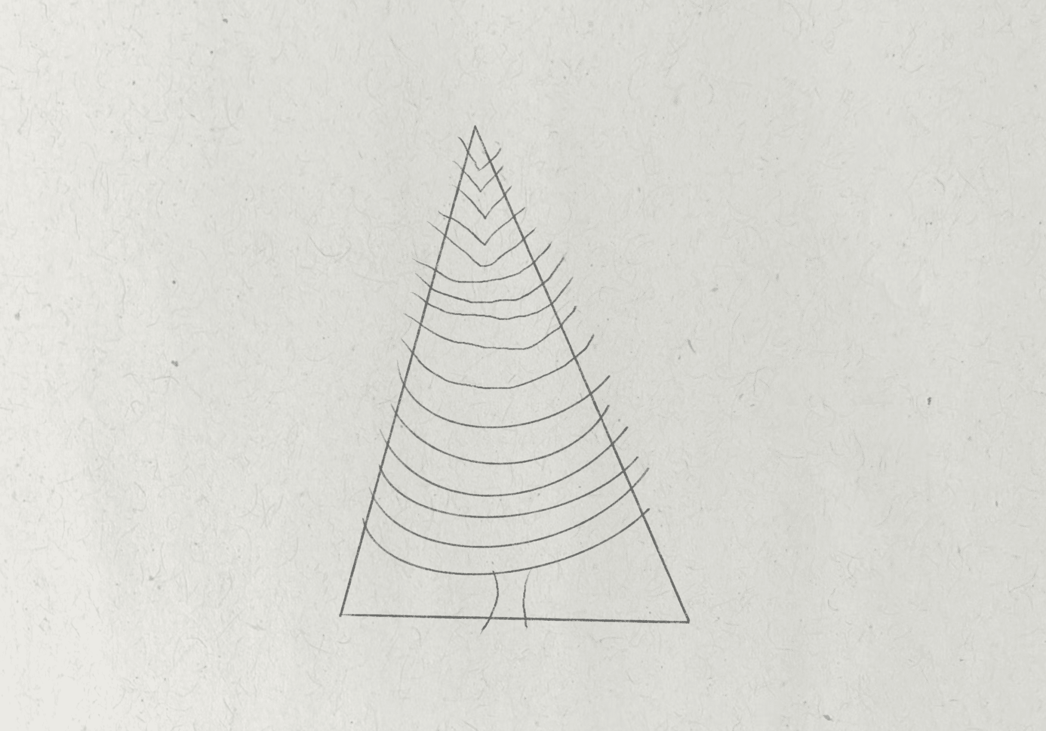 How to Draw a Fir Tree