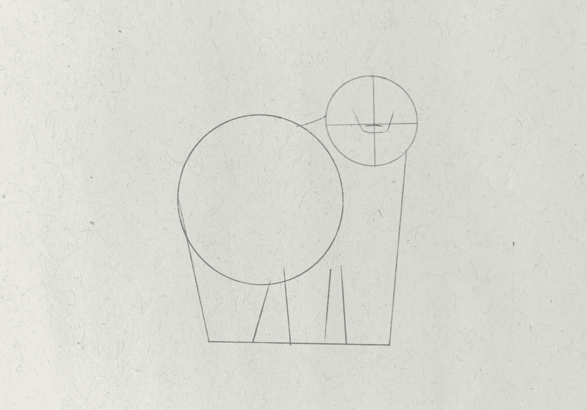 How to Draw a Polar Bear