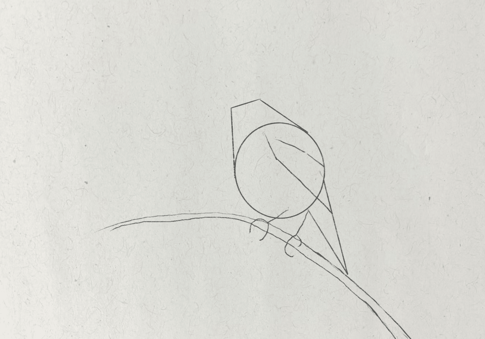 How to Draw a Robin: Easy Tutorial