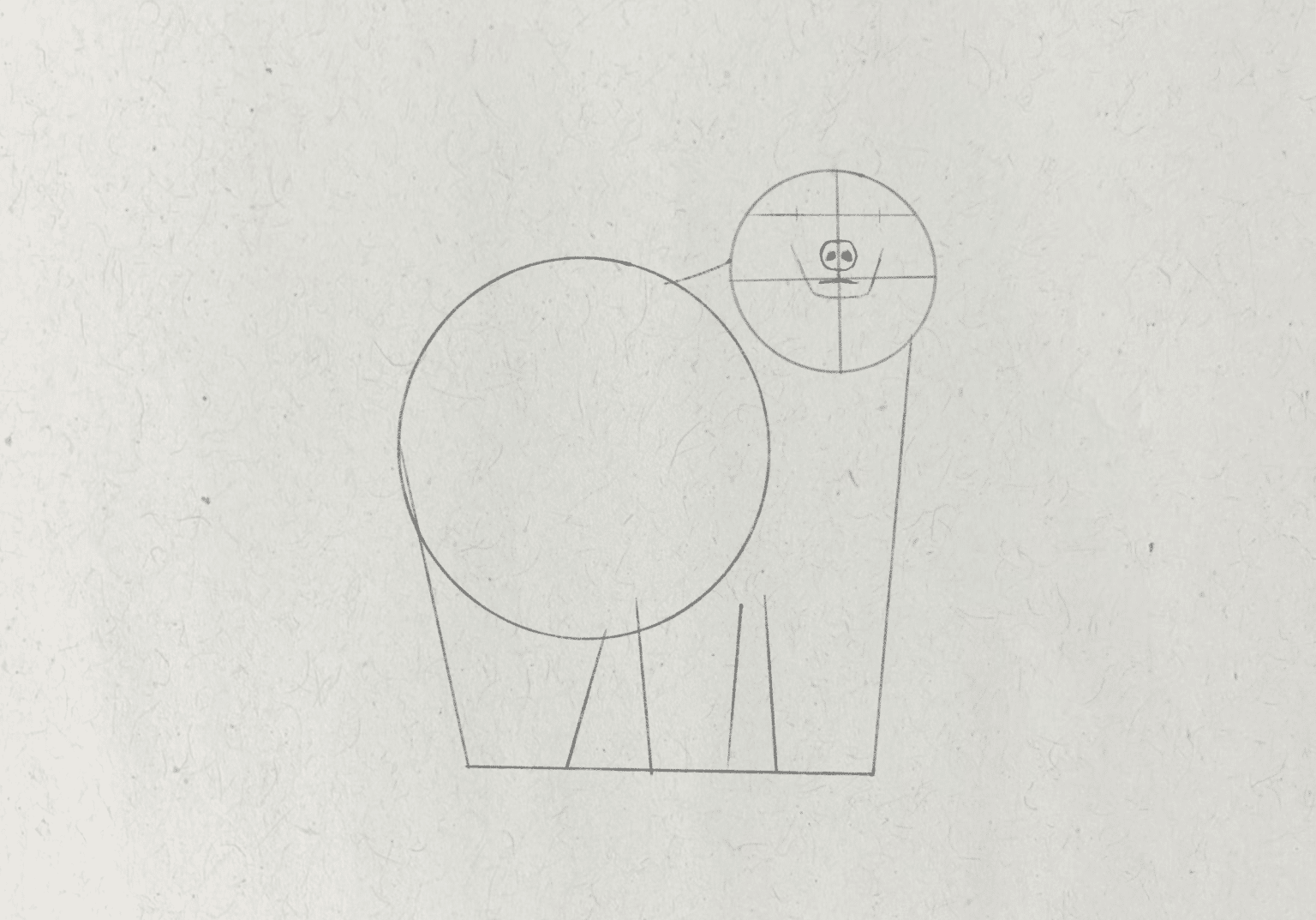How to Draw a Polar Bear