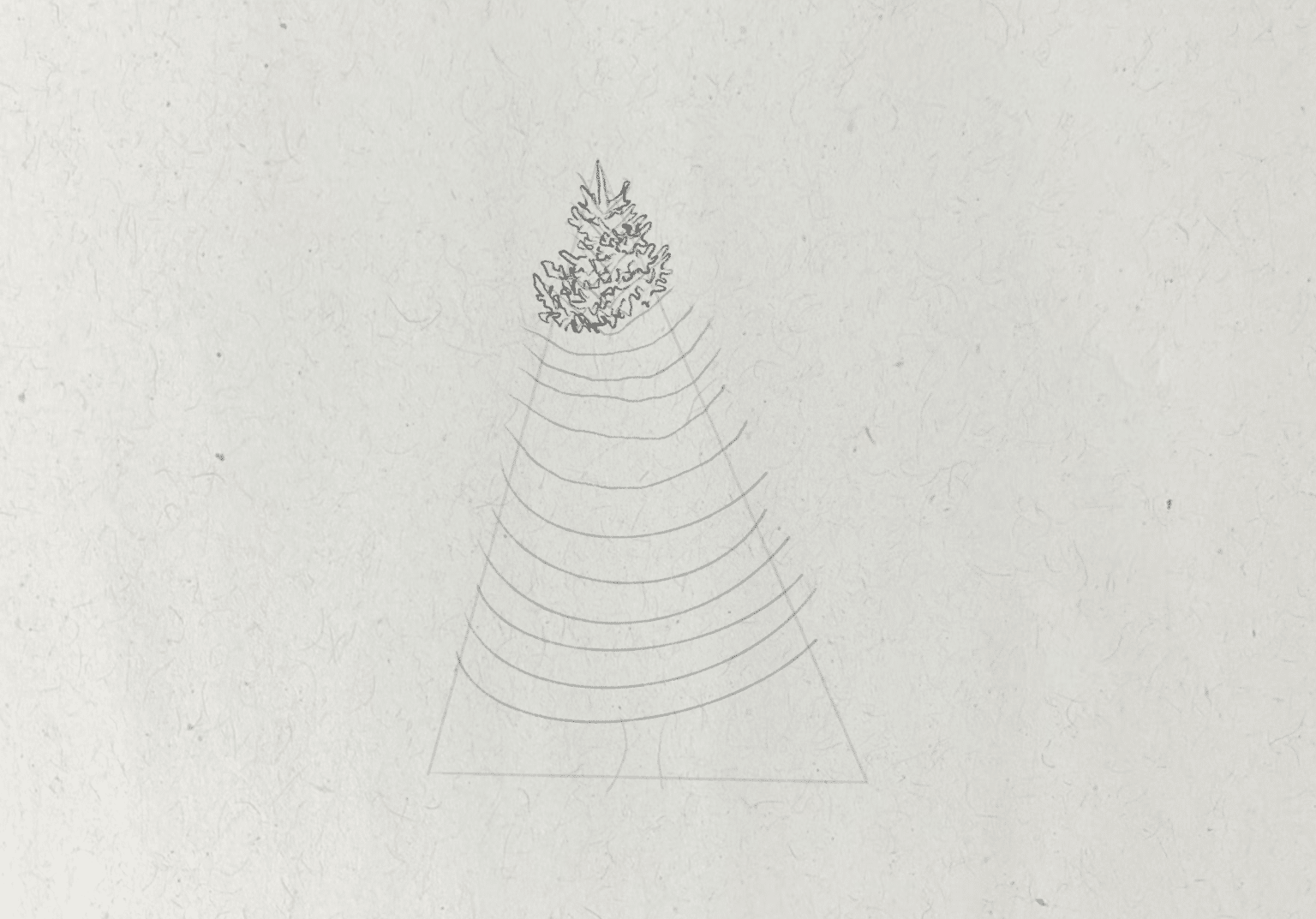 How to Draw a Fir Tree