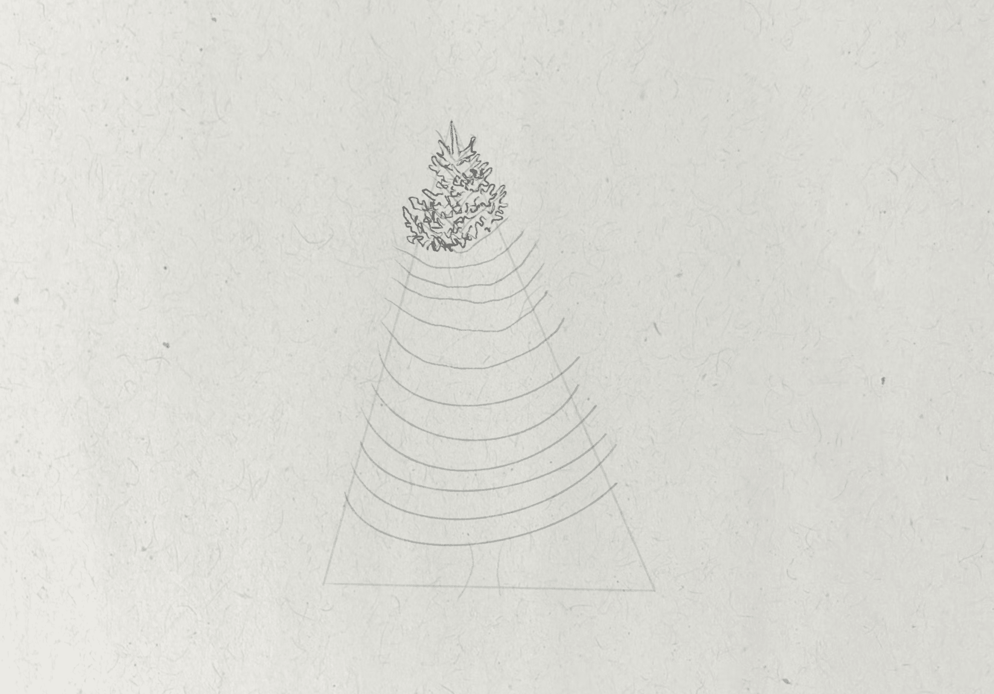 How to Draw a Fir Tree