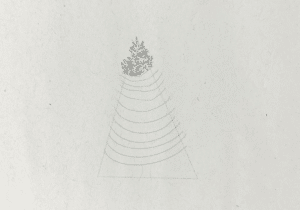 How to Draw a Fir Tree