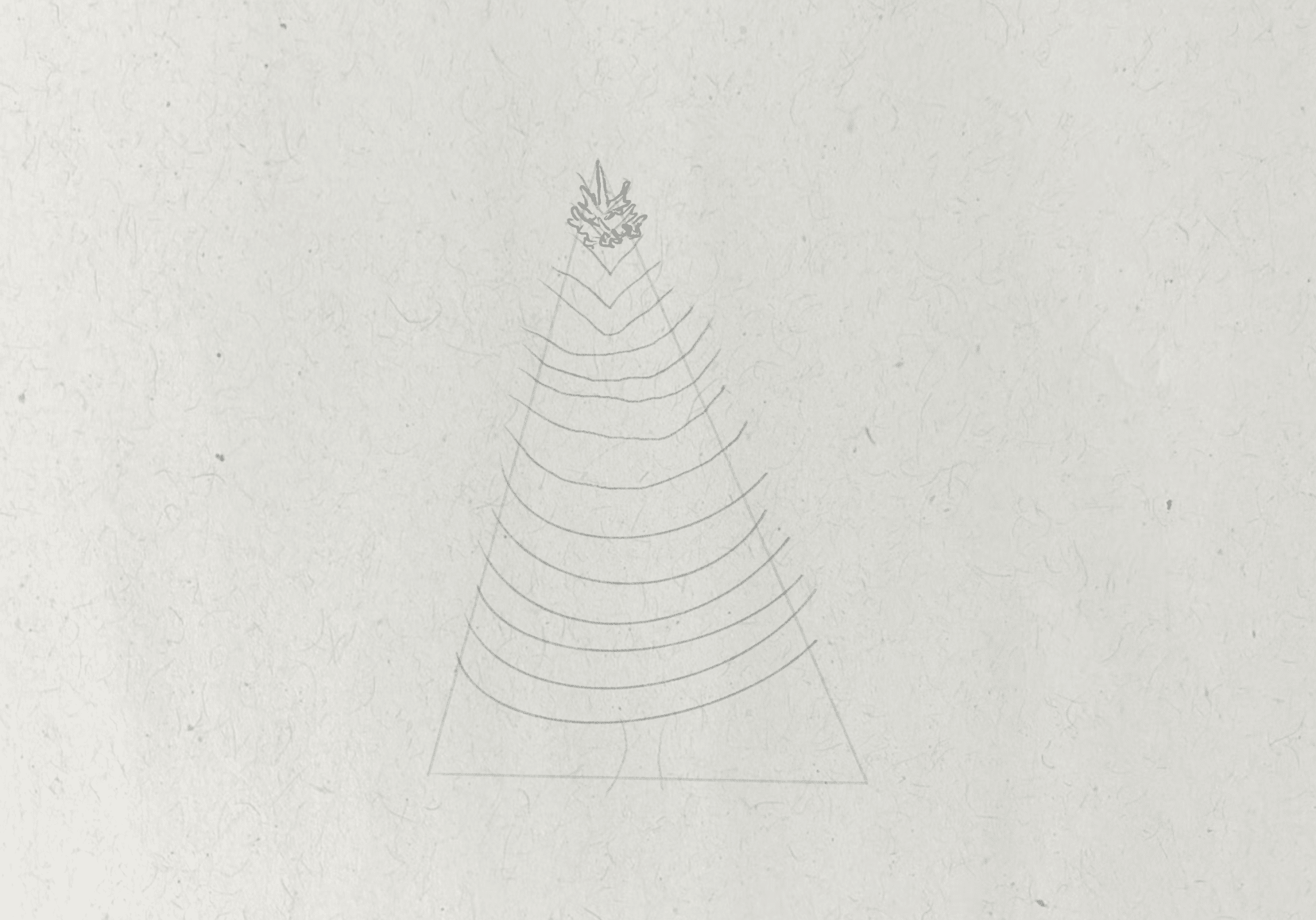 How to Draw a Fir Tree