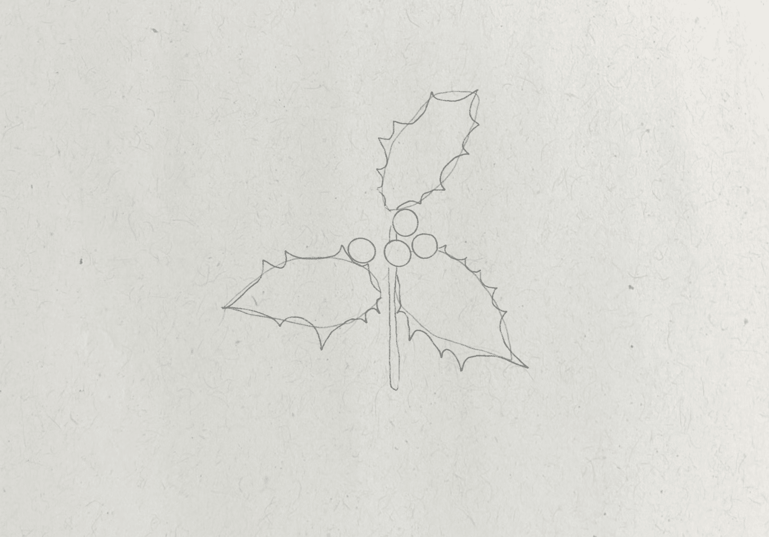 How to Draw Holly - Fine Art Tutorials