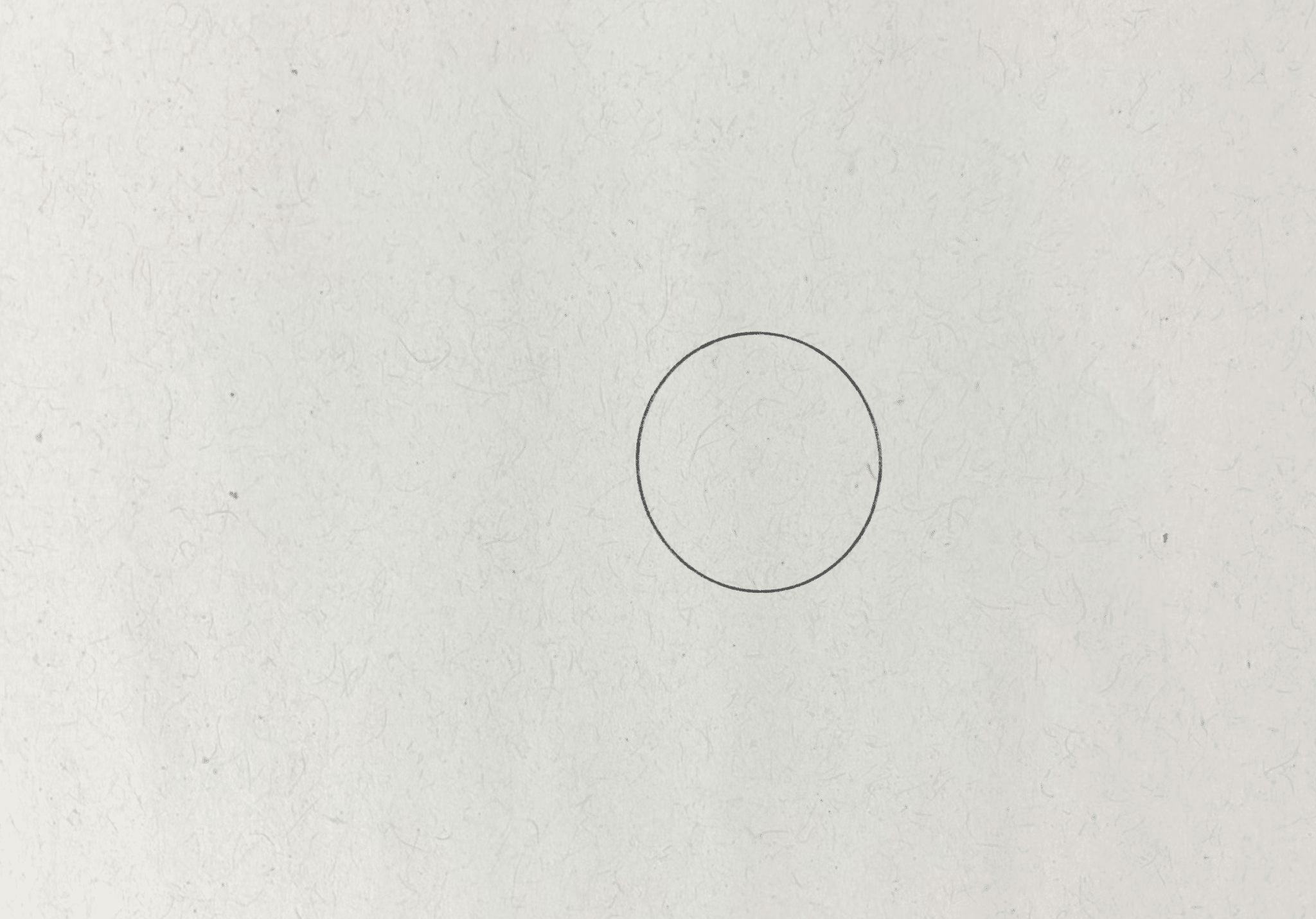 How to Draw a Robin: Easy Tutorial