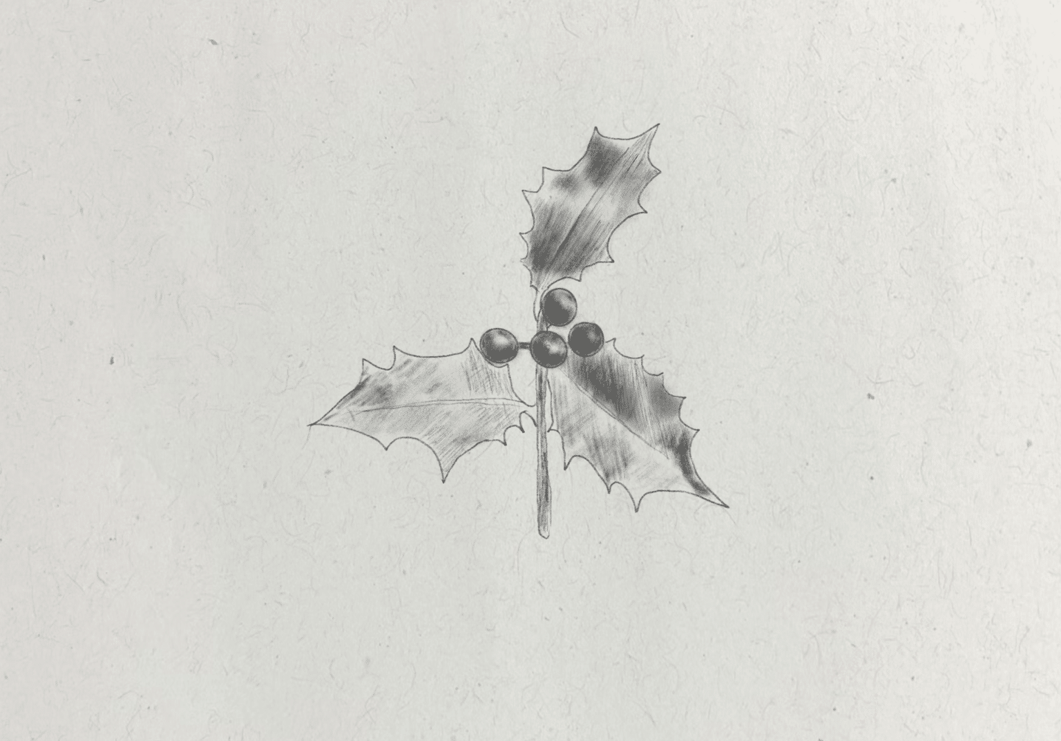 How to Draw Holly - Fine Art Tutorials