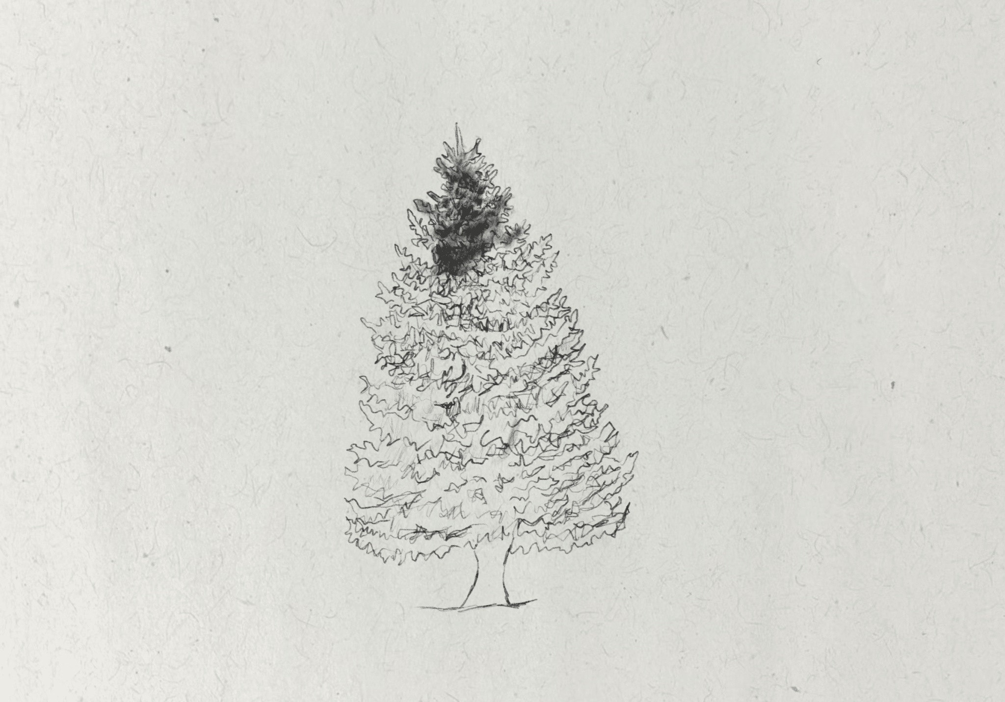 How to Draw a Fir Tree