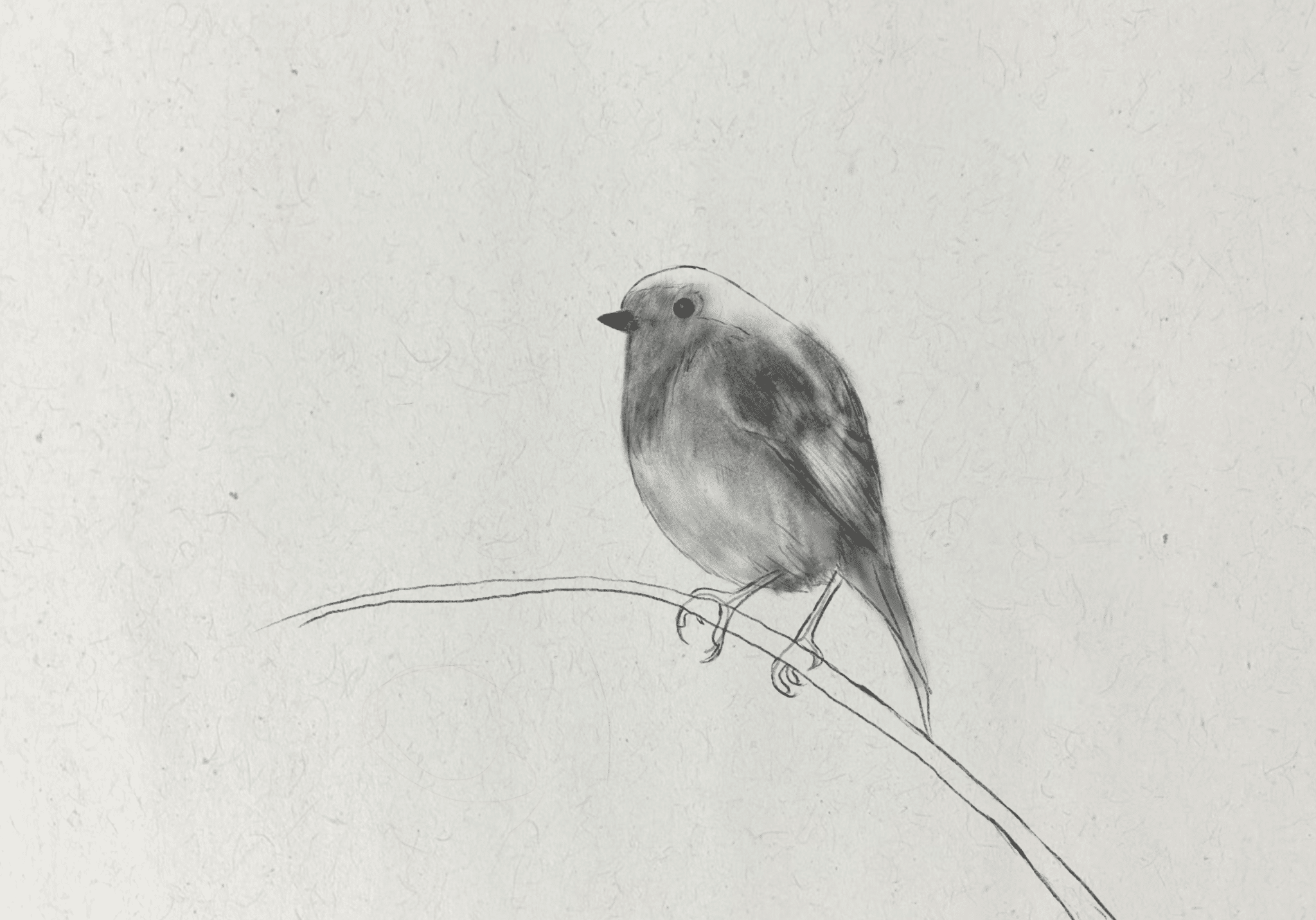 How to Draw a Robin: Easy Tutorial