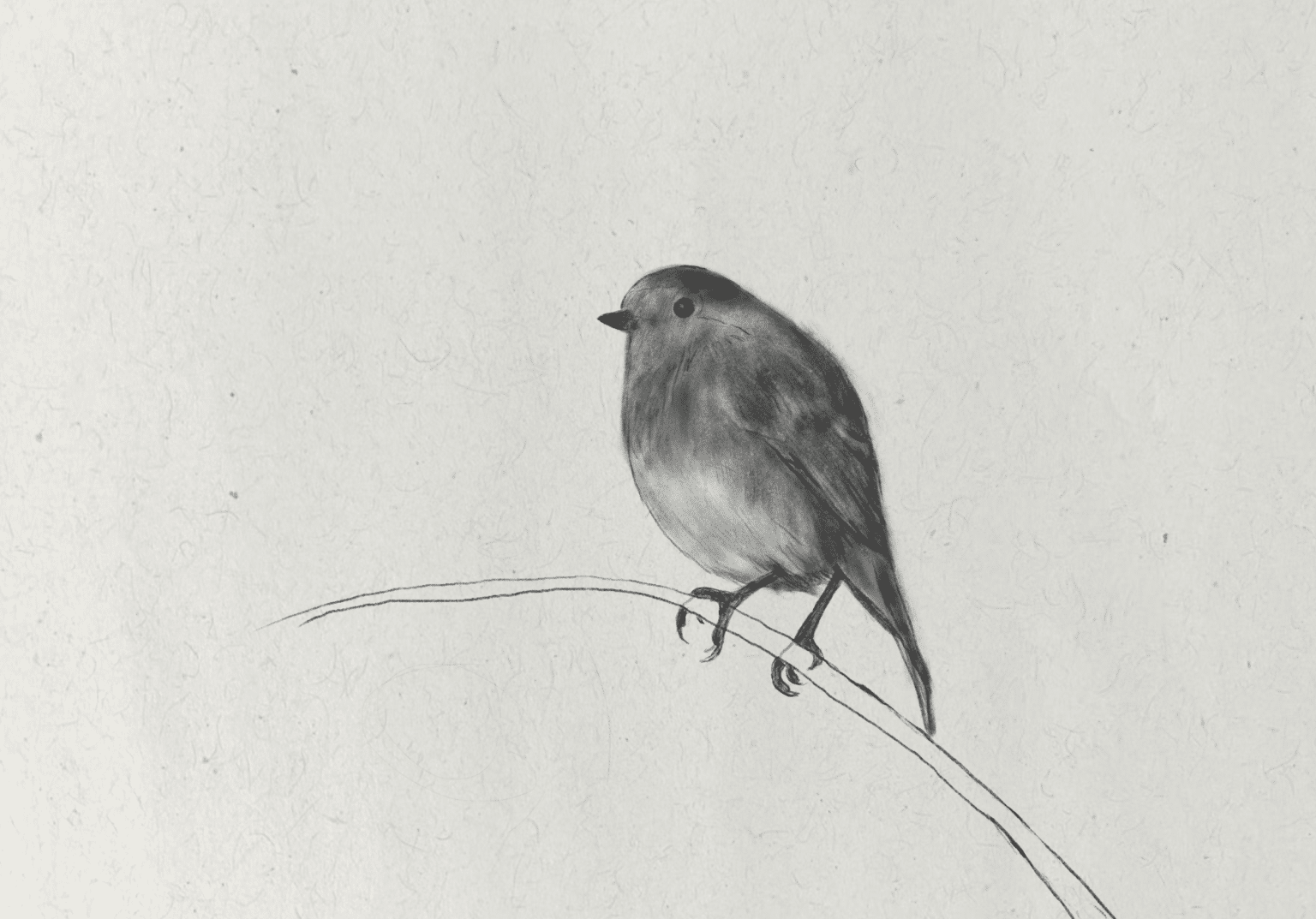 How to Draw a Robin: Easy Tutorial