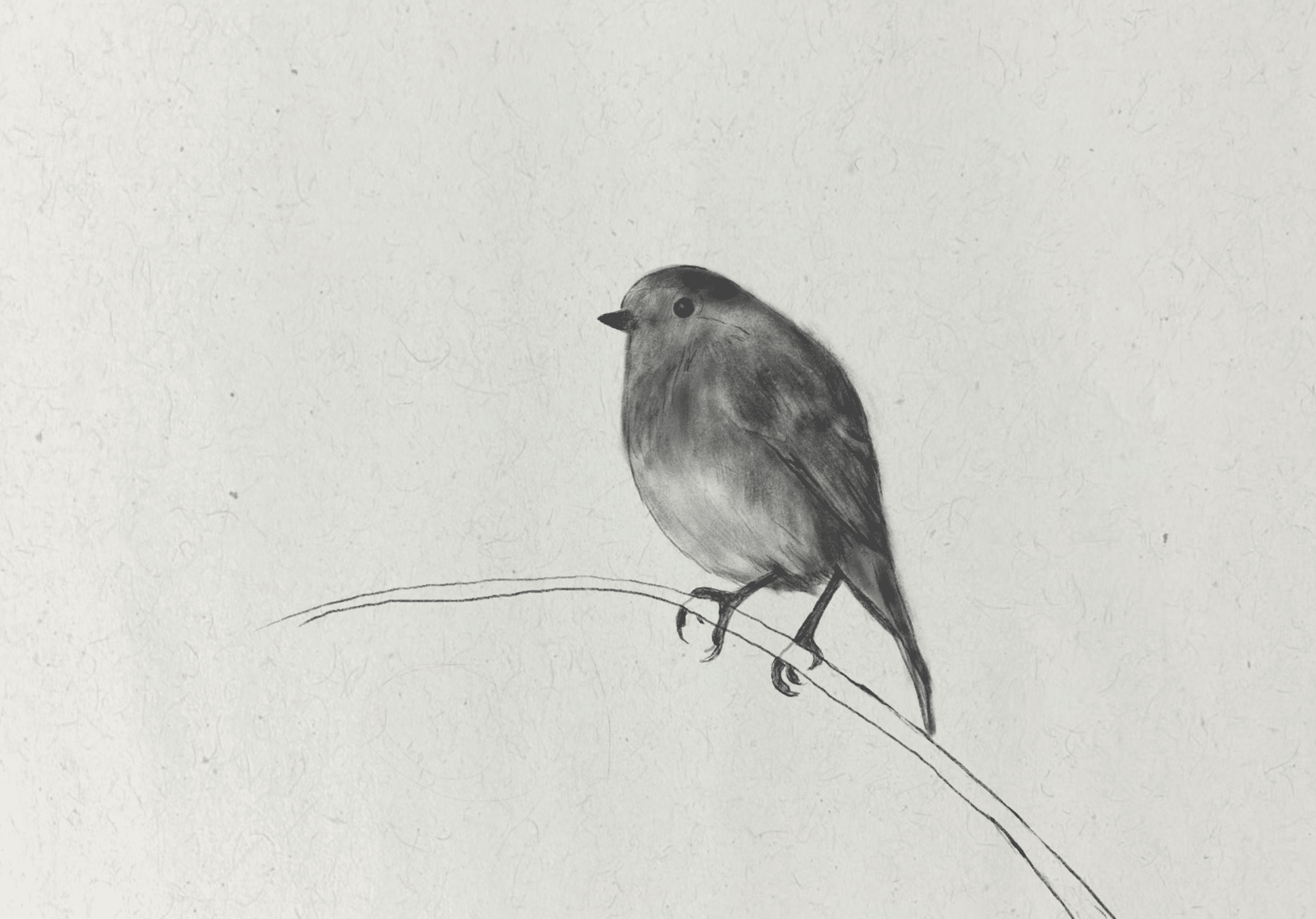 How to Draw a Robin: Easy Tutorial