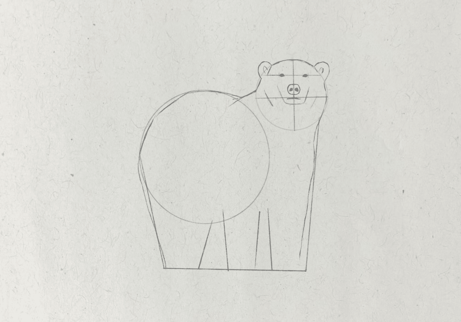 How to Draw a Polar Bear