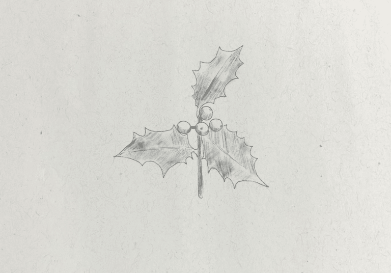 How to Draw Holly - Fine Art Tutorials